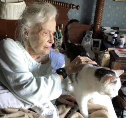 Le chat de 20 ans a été adopté par une grand-mère de 101 ans